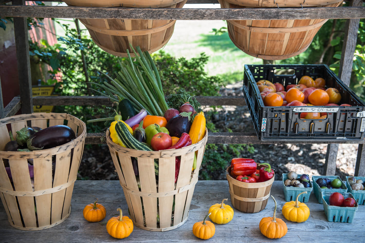 Build a Victory Garden with Rodale Institute - Rodale Institute