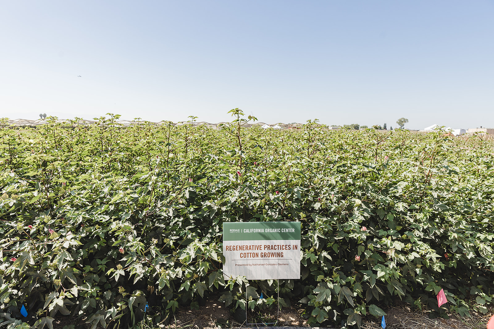 Rodale Institute California Organic Center - Rodale Institute
