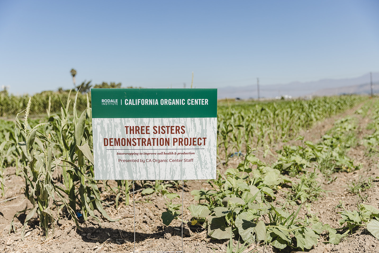 Rodale Institute California Organic Center - Rodale Institute