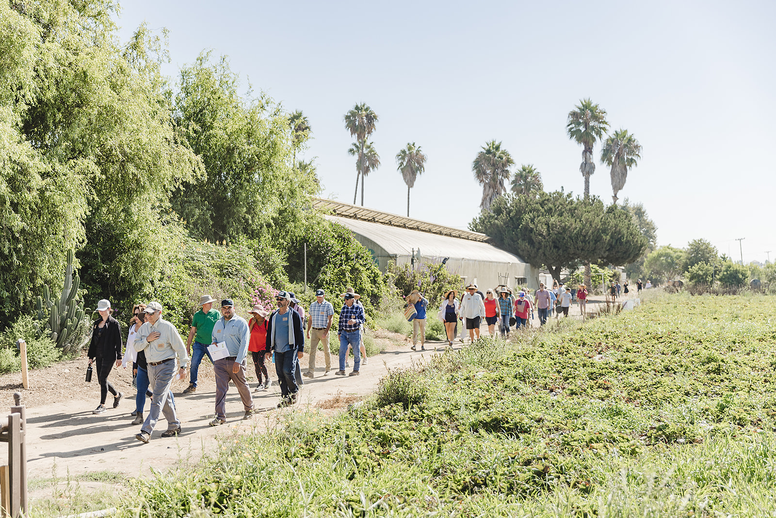 Rodale Institute California Organic Center - Rodale Institute