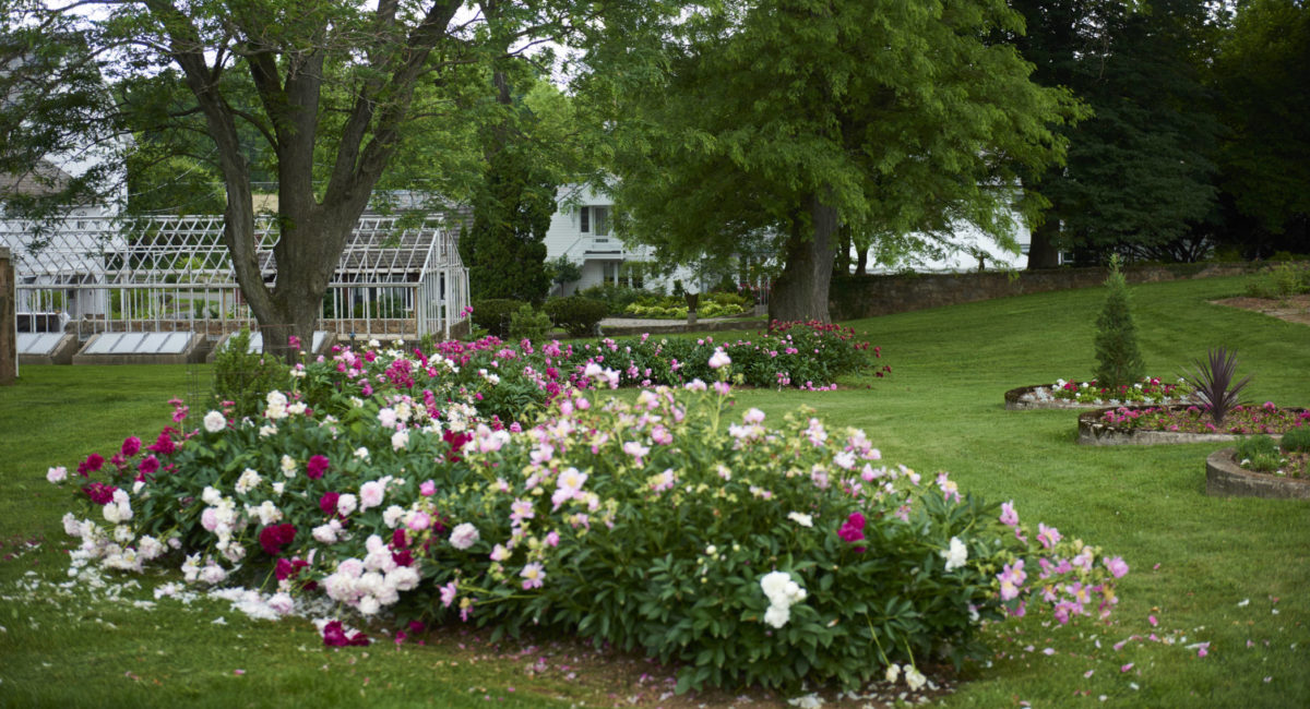 Rodale Institute Founders Farm - Rodale Institute