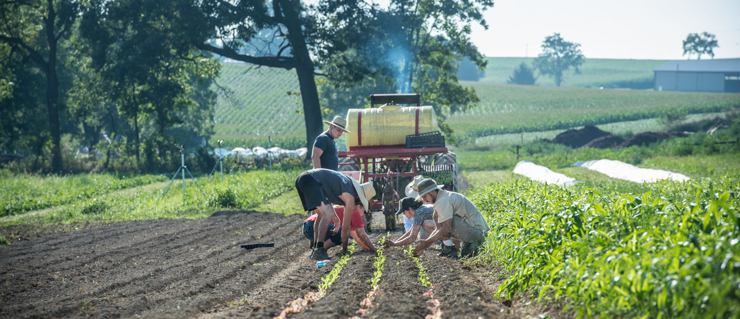 Why Organic? - Rodale Institute