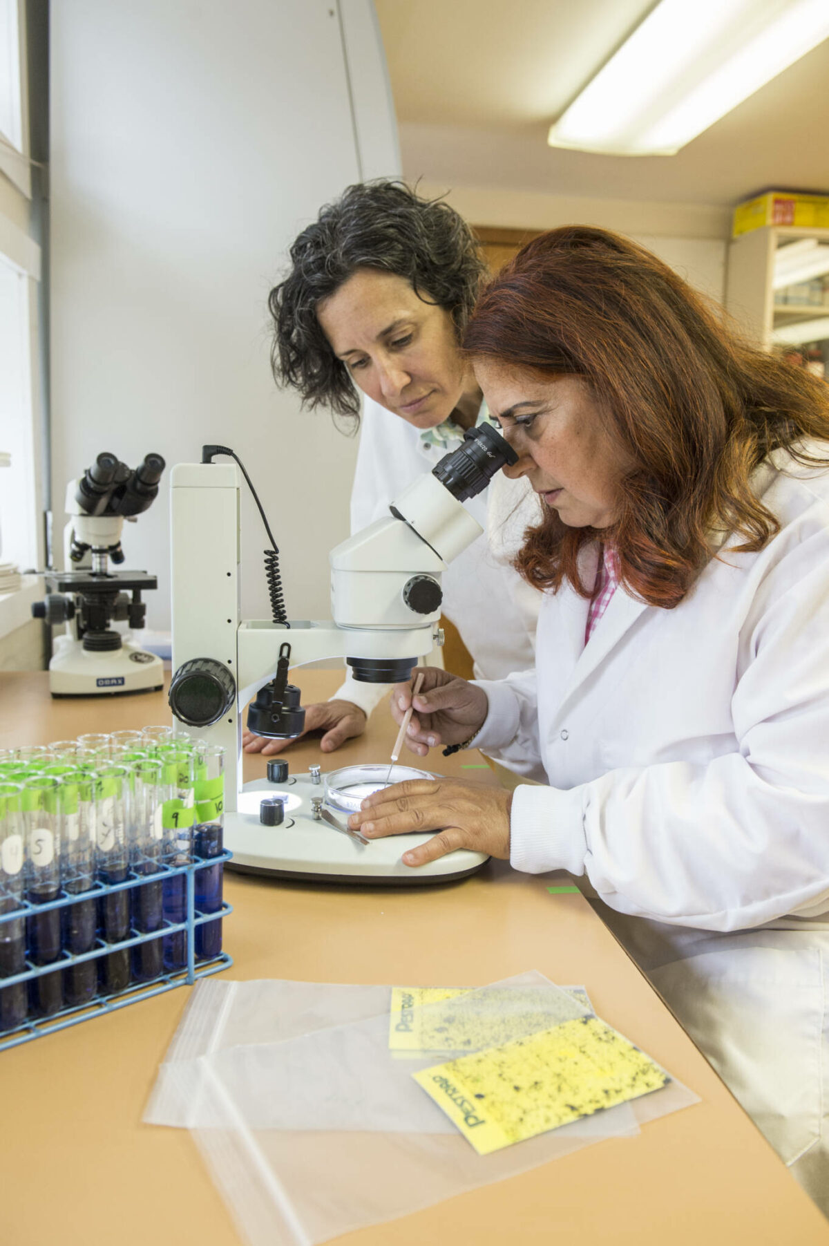 75 Years of Organic Leadership - Rodale Institute