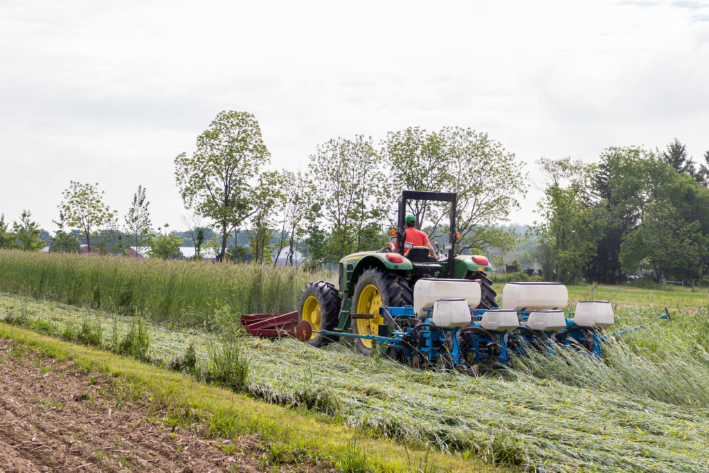 Weed Management Tips From Organic Pros - Rodale Institute