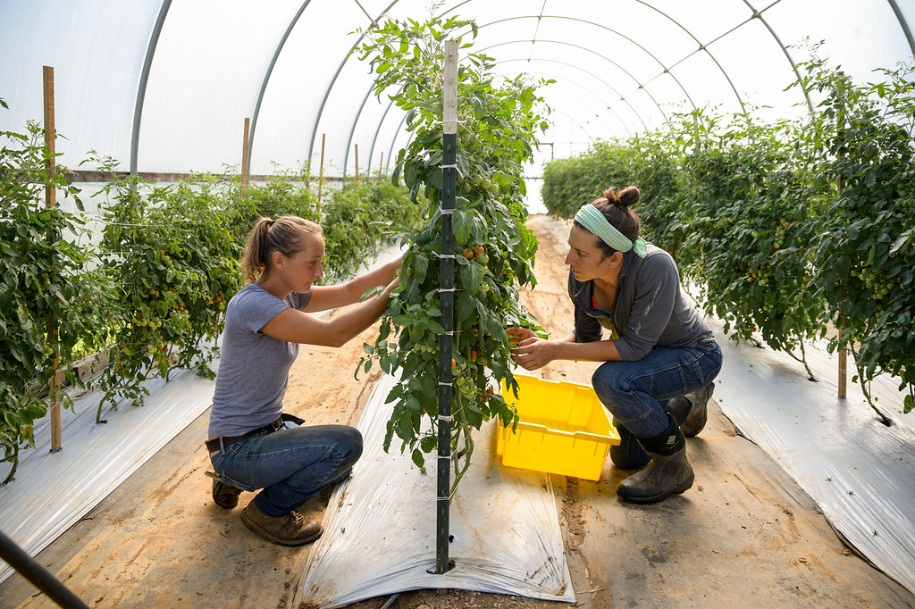 Seasonal Farm Laborer - Rodale Institute