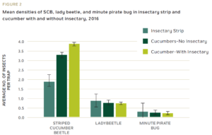 Field Guide: Controlling Striped Cucumber Beetles with Insectary Strips ...