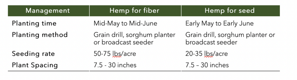 Growing Industrial Hemp as an Organic Cash Crop - Rodale Institute