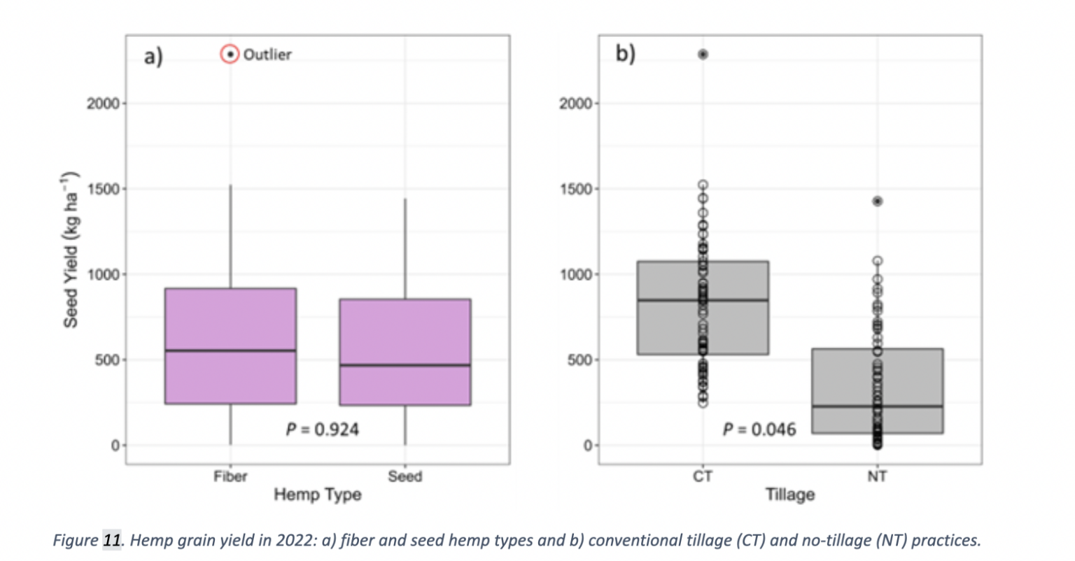 Growing Industrial Hemp as an Organic Cash Crop - Rodale Institute