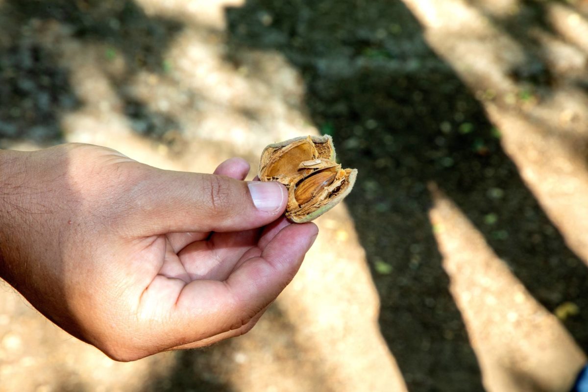 How Diverse is the Organic Movement? - Rodale Institute