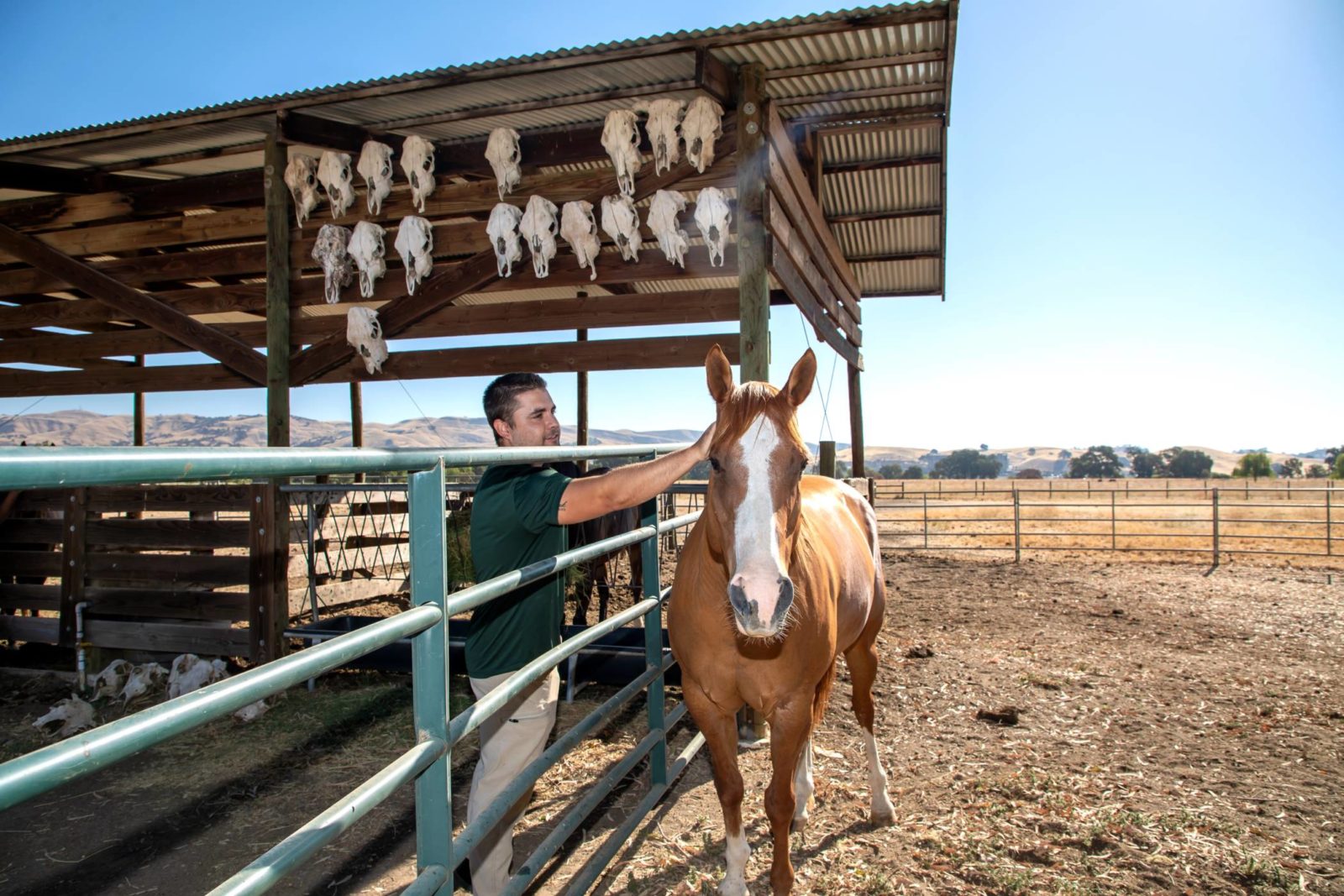 How Diverse is the Organic Movement? - Rodale Institute