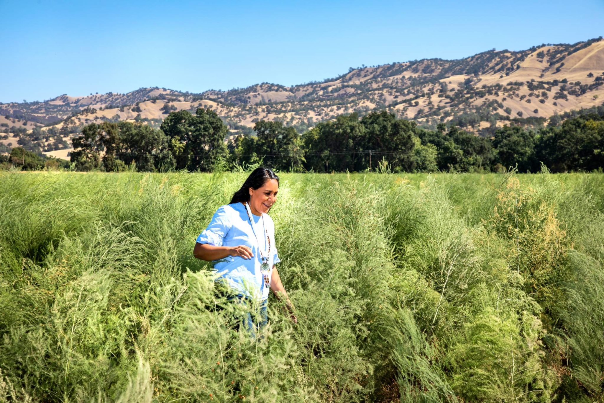 How Diverse is the Organic Movement? - Rodale Institute