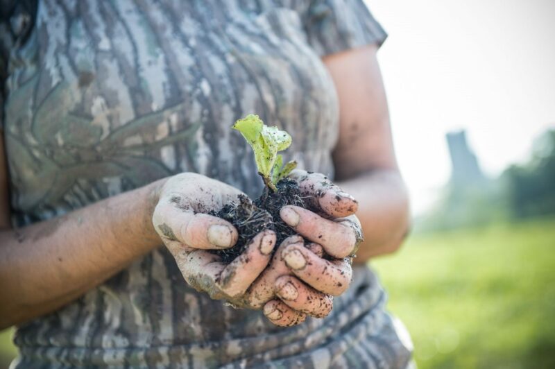 Summer Lecture Series: The Power of the Plate—The Soil/Human Health ...