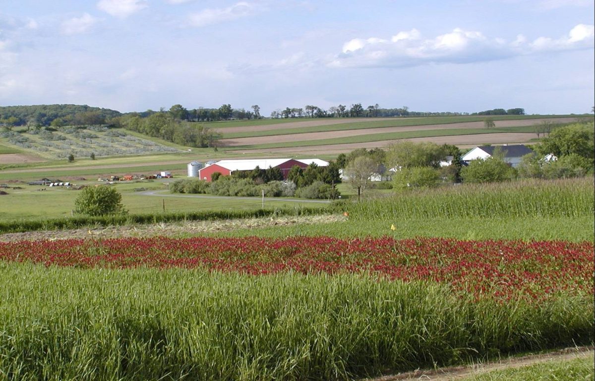 Cover Crops - Rodale Institute
