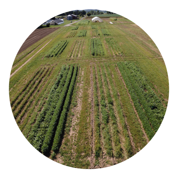 2023 Annual Report - Rodale Institute