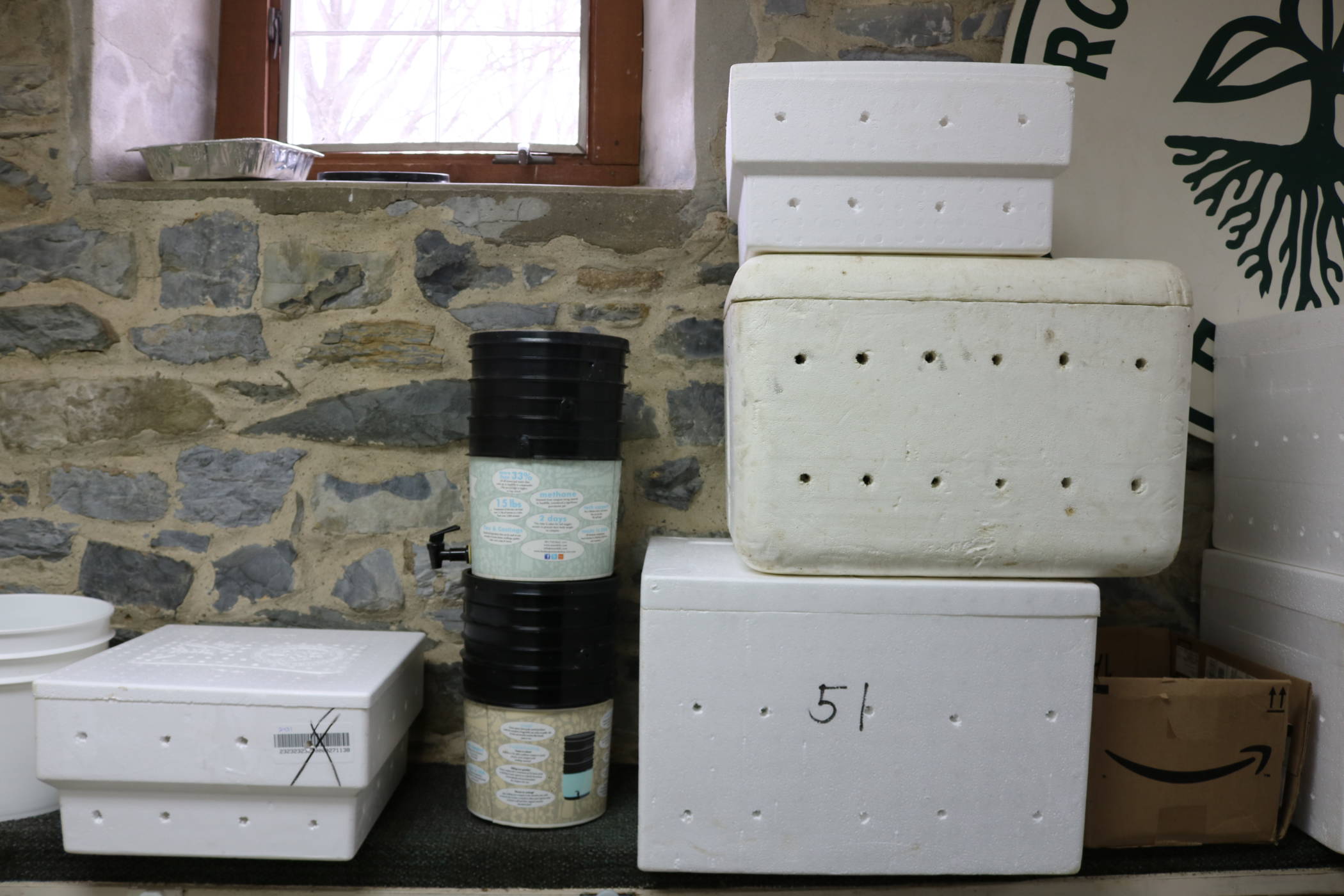 Vermicomposting for Beginners - Rodale Institute