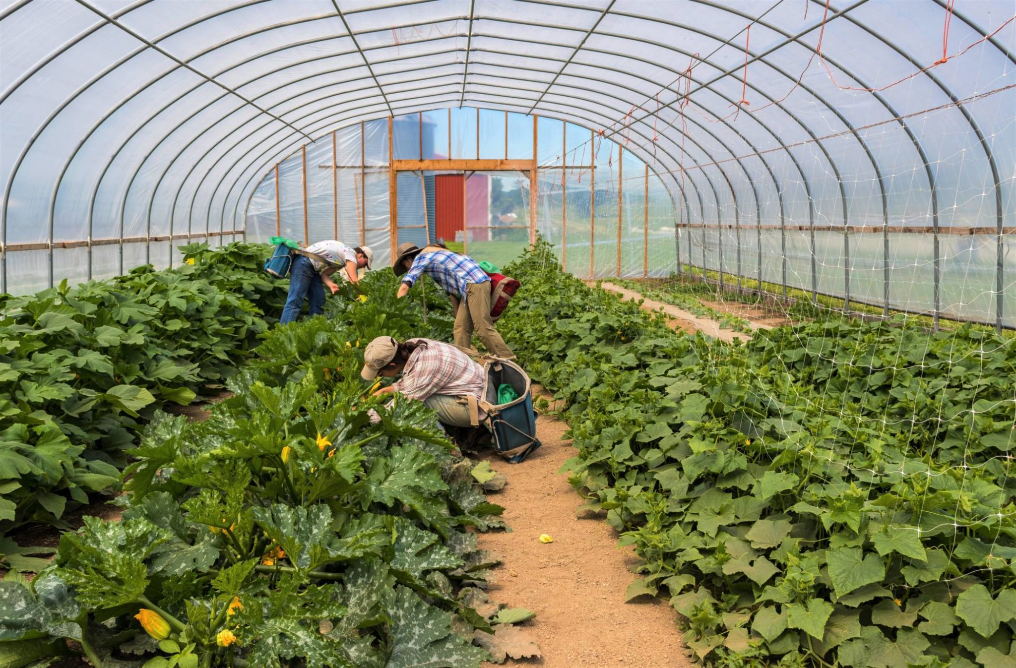 Resources - Rodale Institute