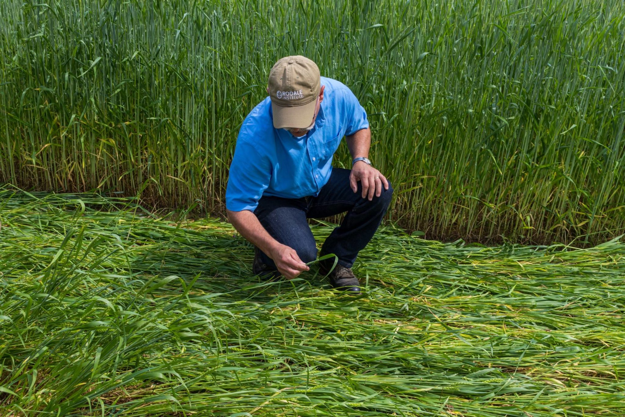Farm Consulting - Rodale Institute