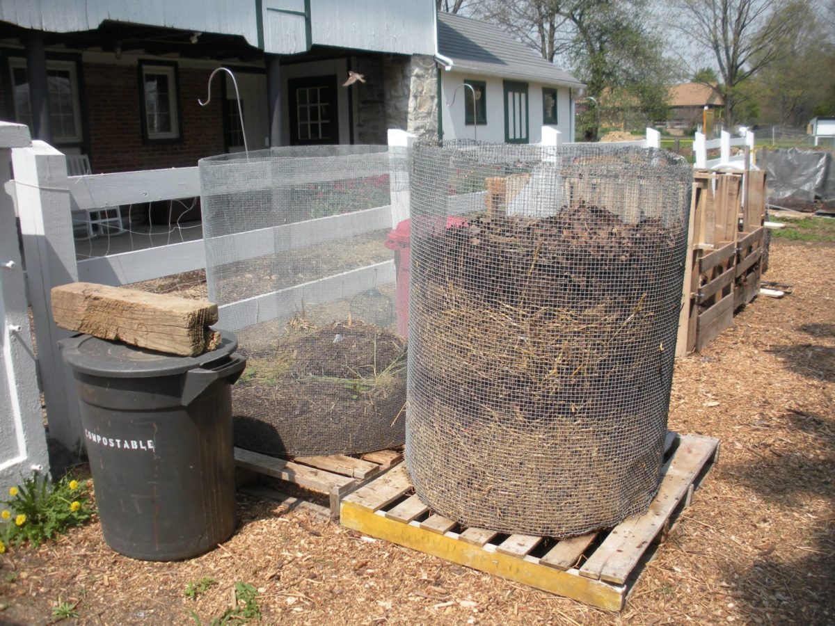 Backyard Composting Basics: A Cheatsheet - Rodale Institute Backyard Composting Basics: A Cheatsheet - Rodale Institute