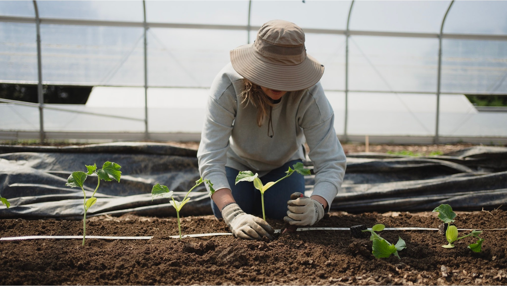Apply Today for The Good Farmer Award U.S. - Rodale Institute