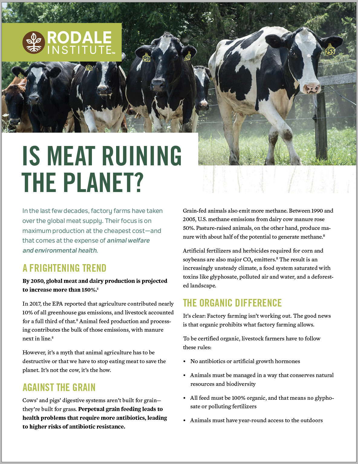 Is Meat Ruining the Planet? - Rodale Institute