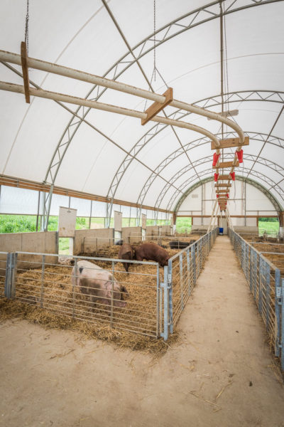 Pastured Hog Facility - Rodale Institute