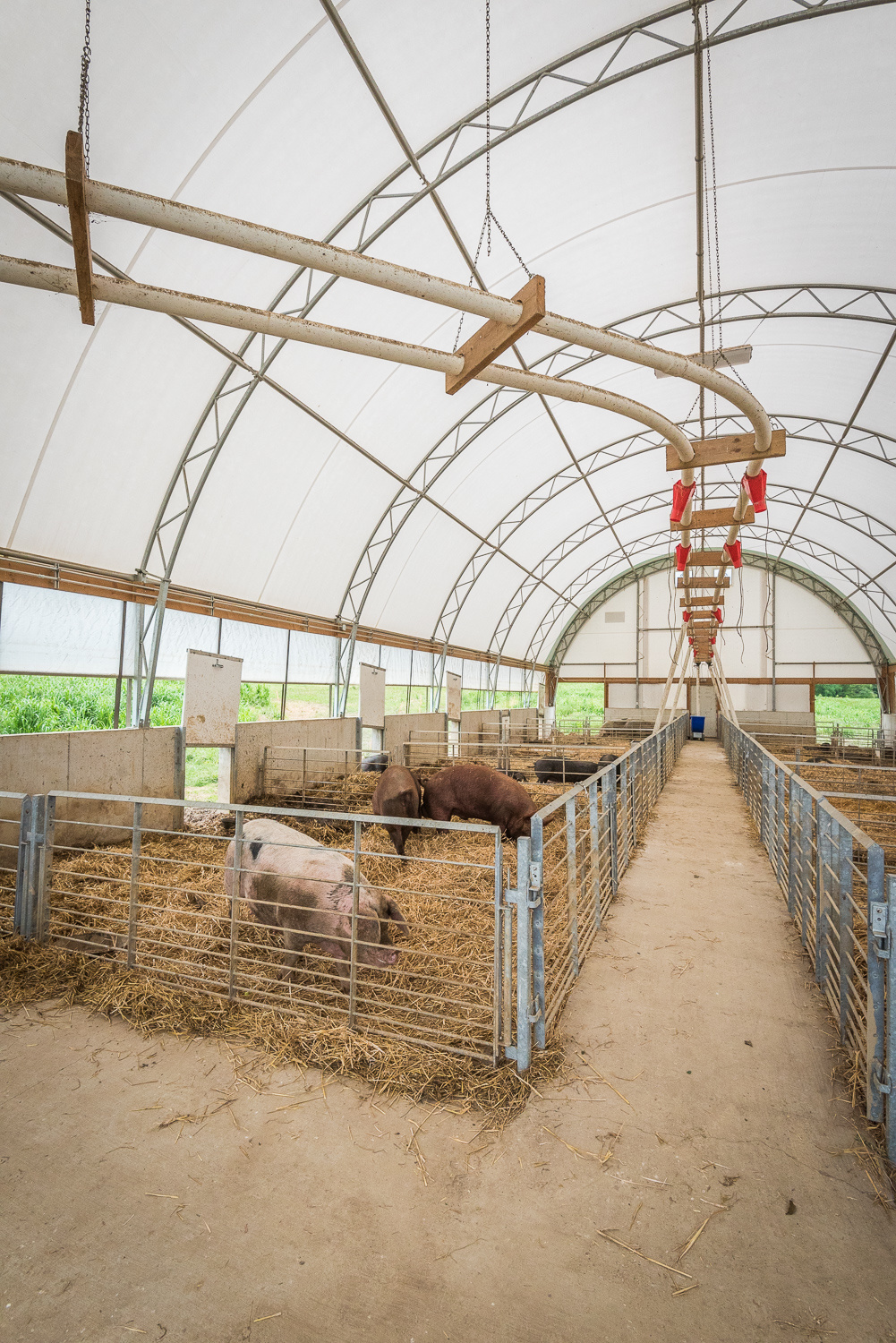 Pastured Hog Facility - Rodale Institute