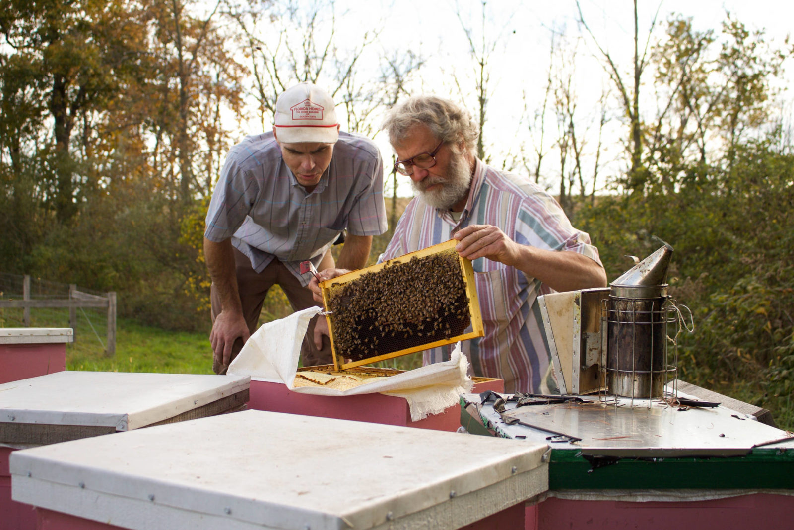 The Organic Beekeeping Frontier: A Conversation with Rodale Institute's ...