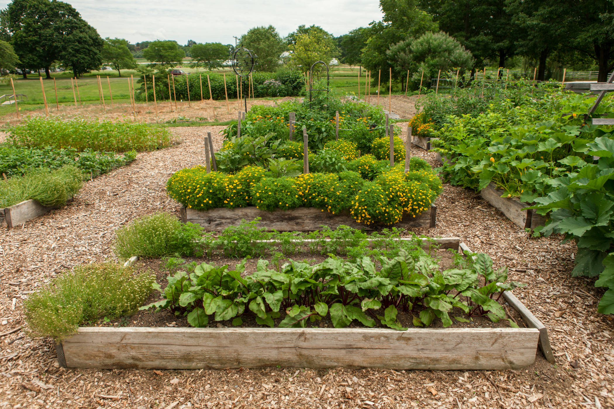 Demonstration Gardens - Rodale Institute