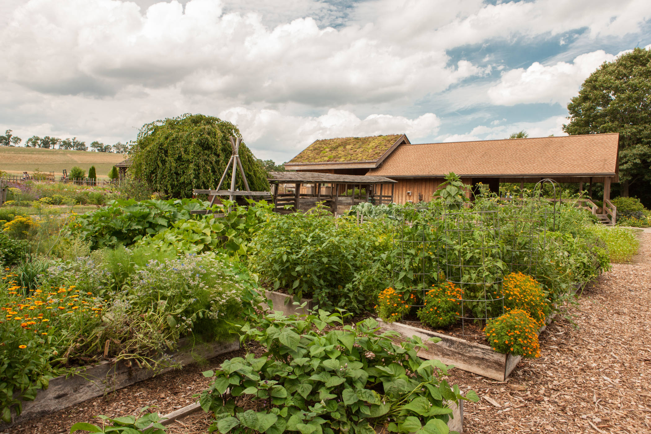 Demonstration Gardens - Rodale Institute