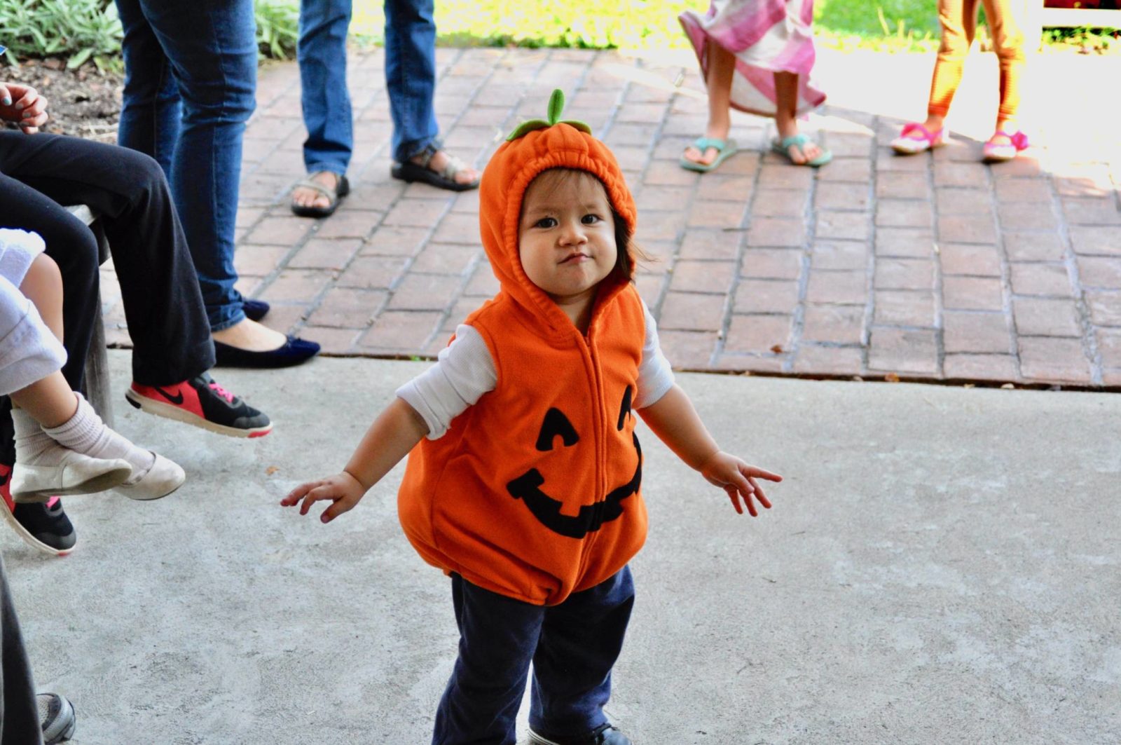 Organic Halloween - Rodale Institute