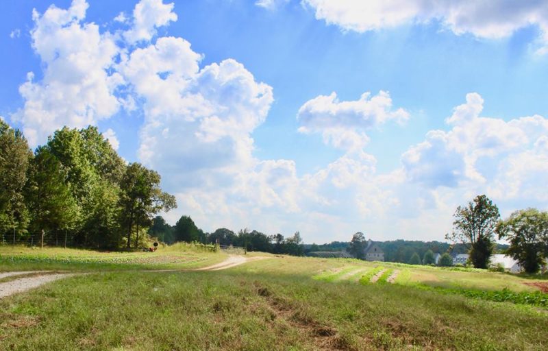 Rodale Institute Southeast Organic Center - Rodale Institute