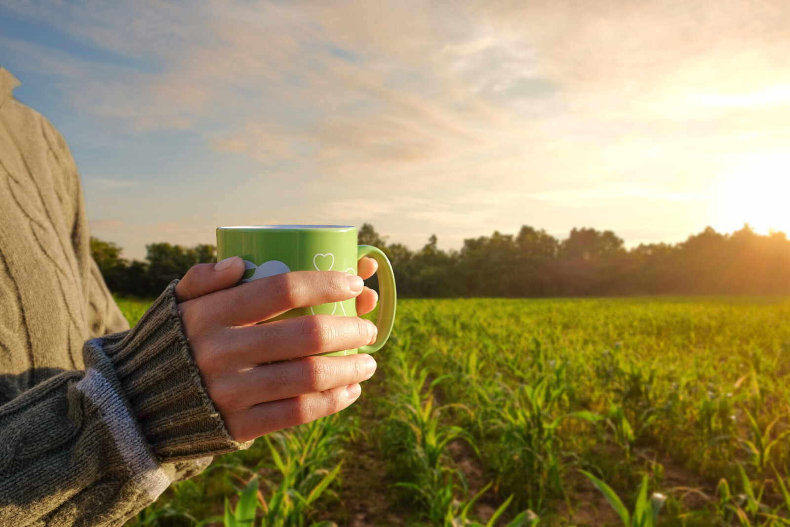 Webinars - Rodale Institute