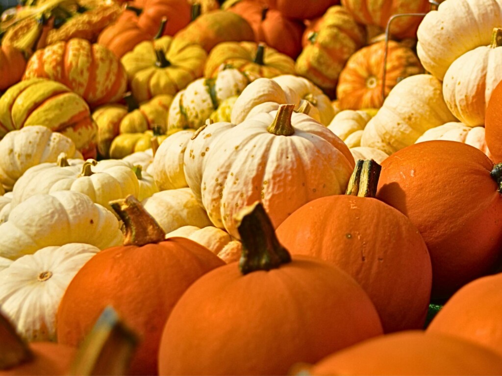 Fall on the Farm - Rodale Institute