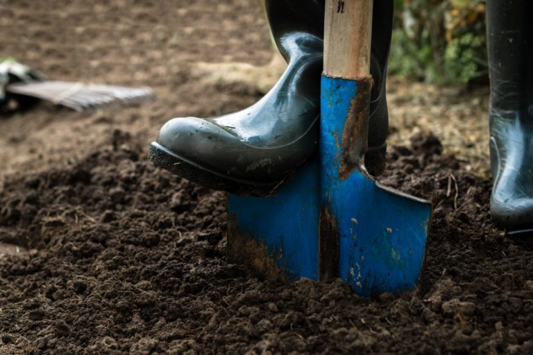 Backyard Composting Basics: A Cheatsheet - Rodale Institute